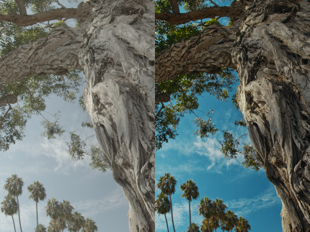 Professional Cinematic LUTs: Free or $3.99 LUTs Downloads – Kondor Blue